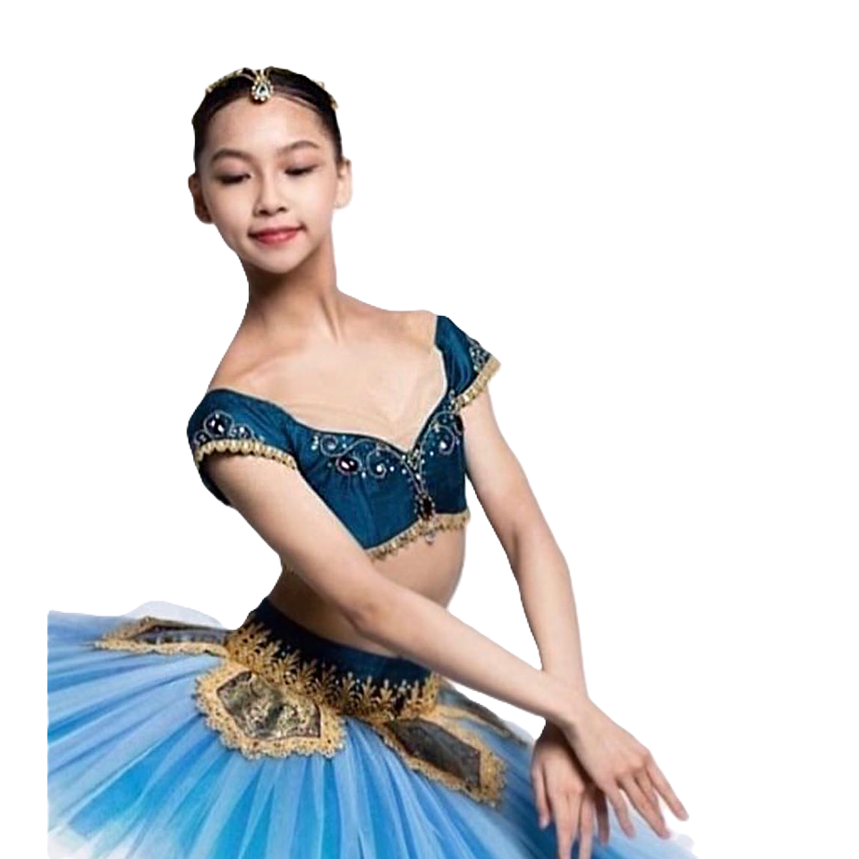 Collections – Tutus that Dance