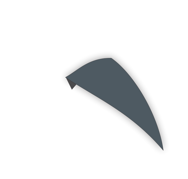 Men's Tunic Shoulder Wings – Tutus that Dance